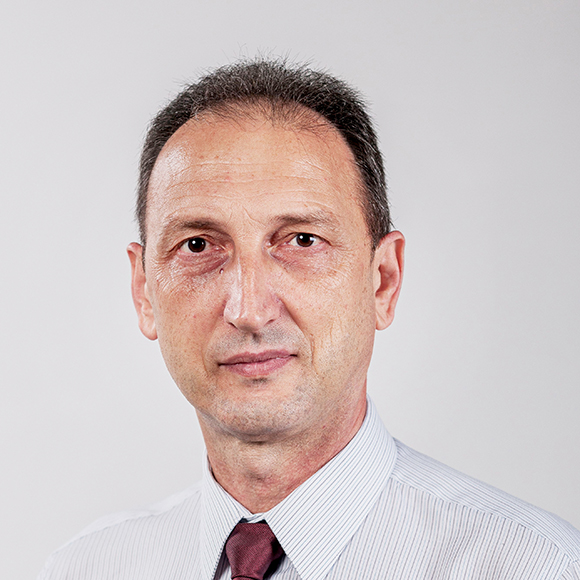 Valentin Dichev - Videoton Holding